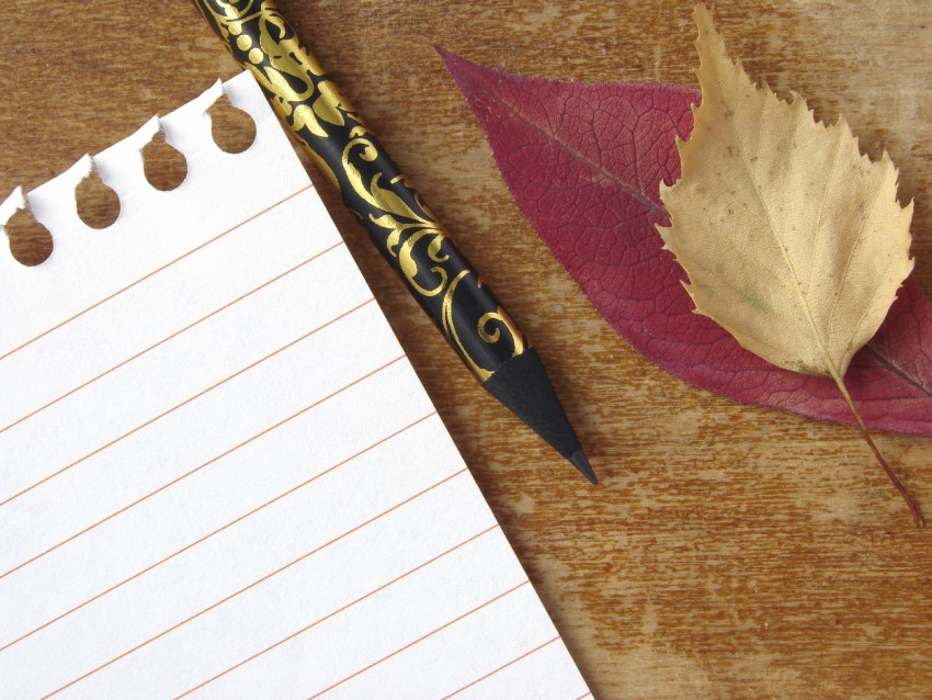 Creating an Autumn Marketing Strategy | Kraus Marketing | NJ & NY