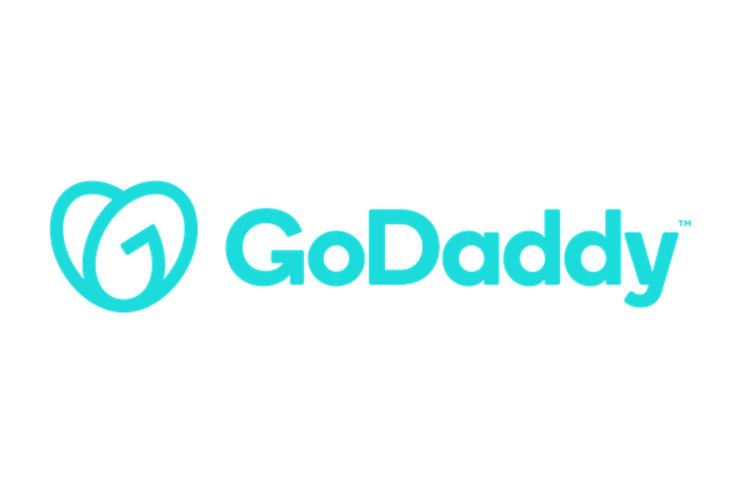 A Dive Into the Latest GoDaddy Rebrand | Kraus Marketing