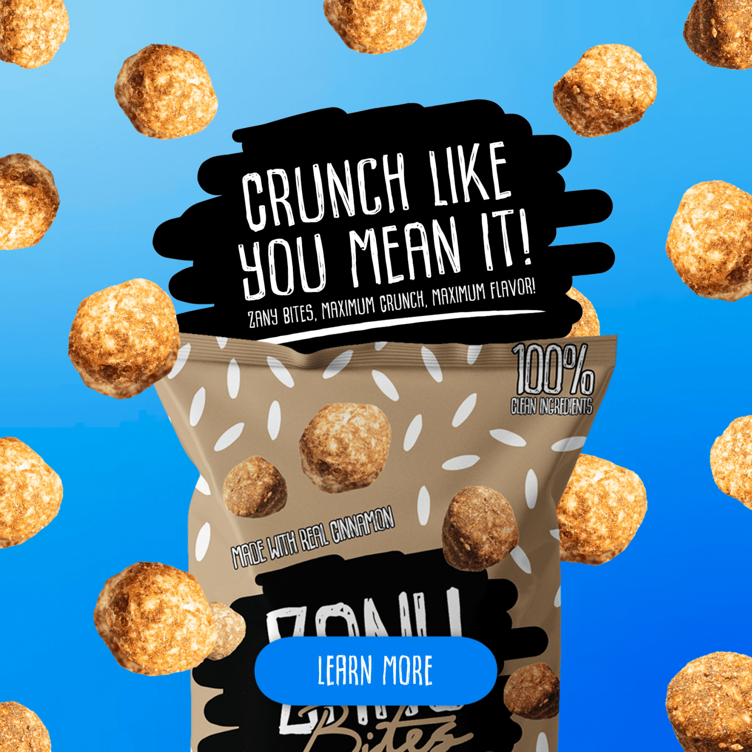 Zany Bites - Kraus Marketing